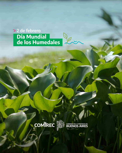 2 DE FEBRERO: DÍA MUNDIAL DE LOS HUMEDALES | Provincia de Buenos Aires